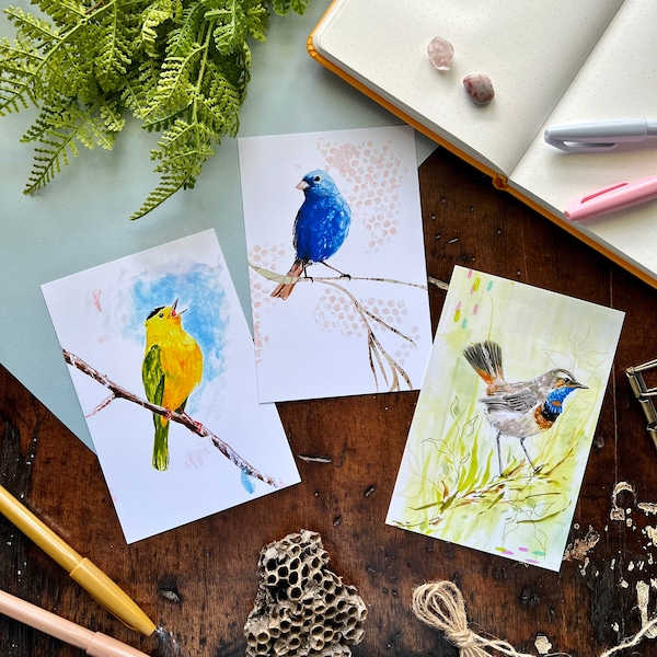Bird Postcards - Etsy