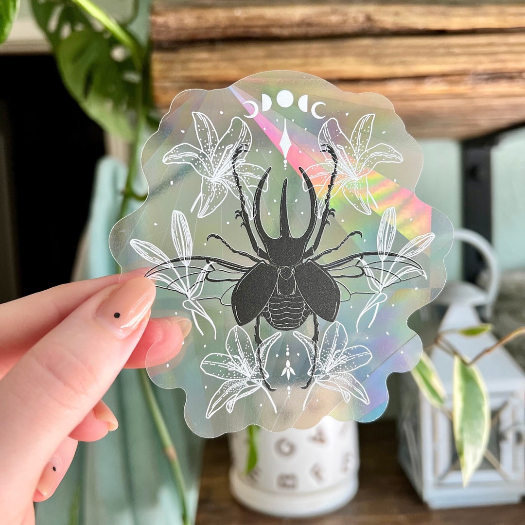 Atlas Beetle Suncatcher | Window Decal | Window Sticker | Rainbow Sun ...
