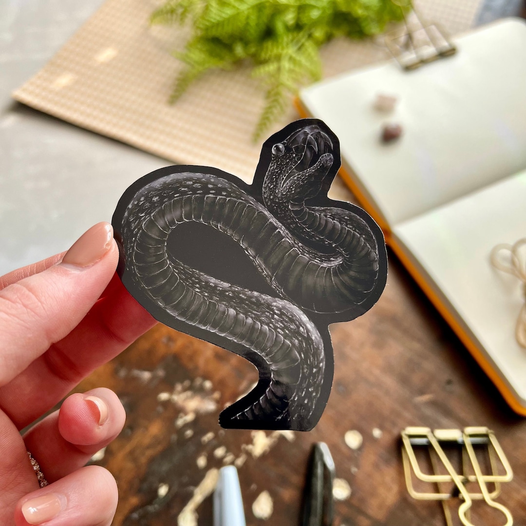 Snake Vinyl Sticker | Holographic | Laptop Decal | Planner Sticker ...