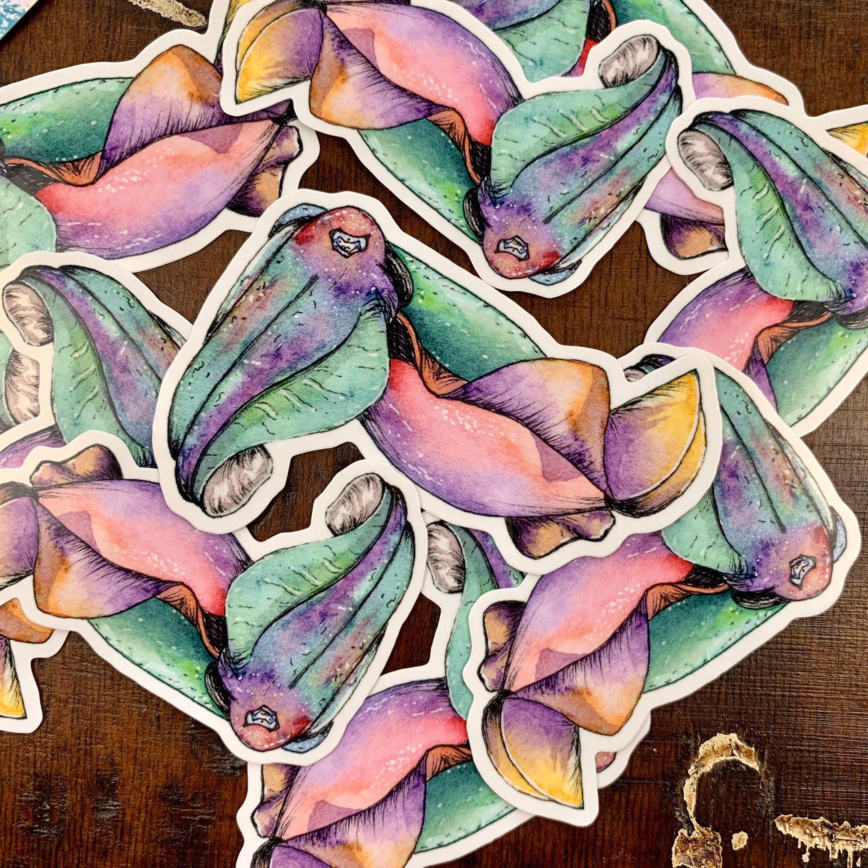 Cuttlefish Vinyl Sticker Fish Sticker Marine Life - Etsy
