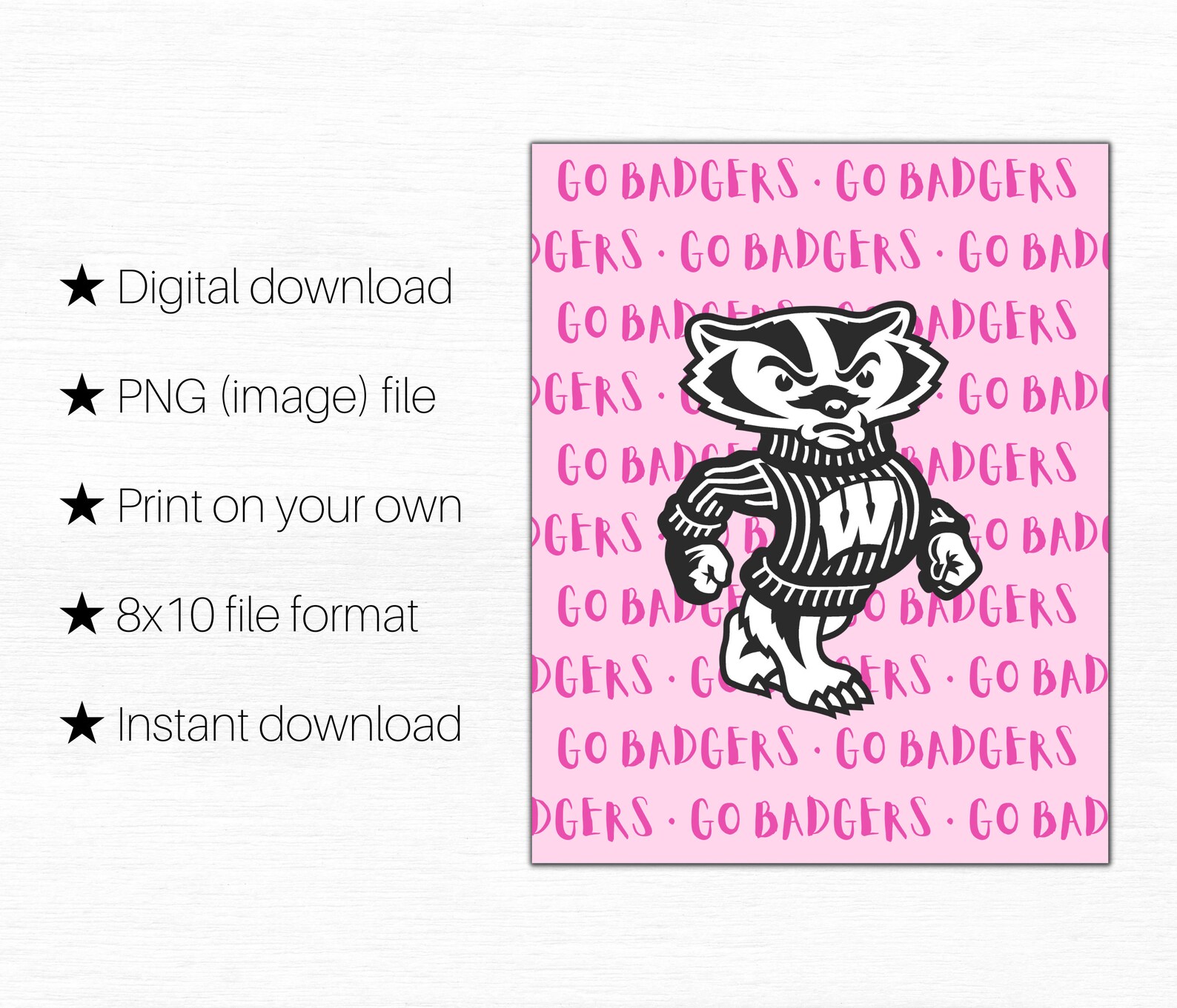 Wisconsin Badgers UW Madison College Dorm Decor Teenage Girl, Preppy ...