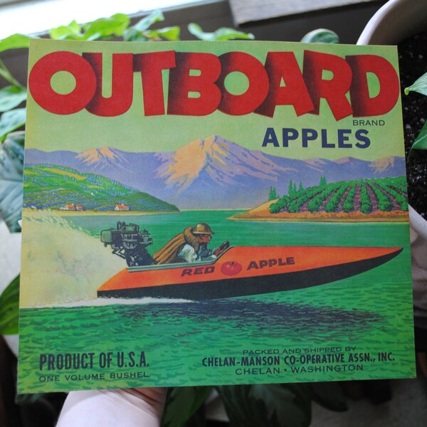 Washington Apple - Etsy
