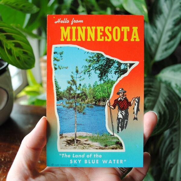 Minnesota Postcard - Etsy