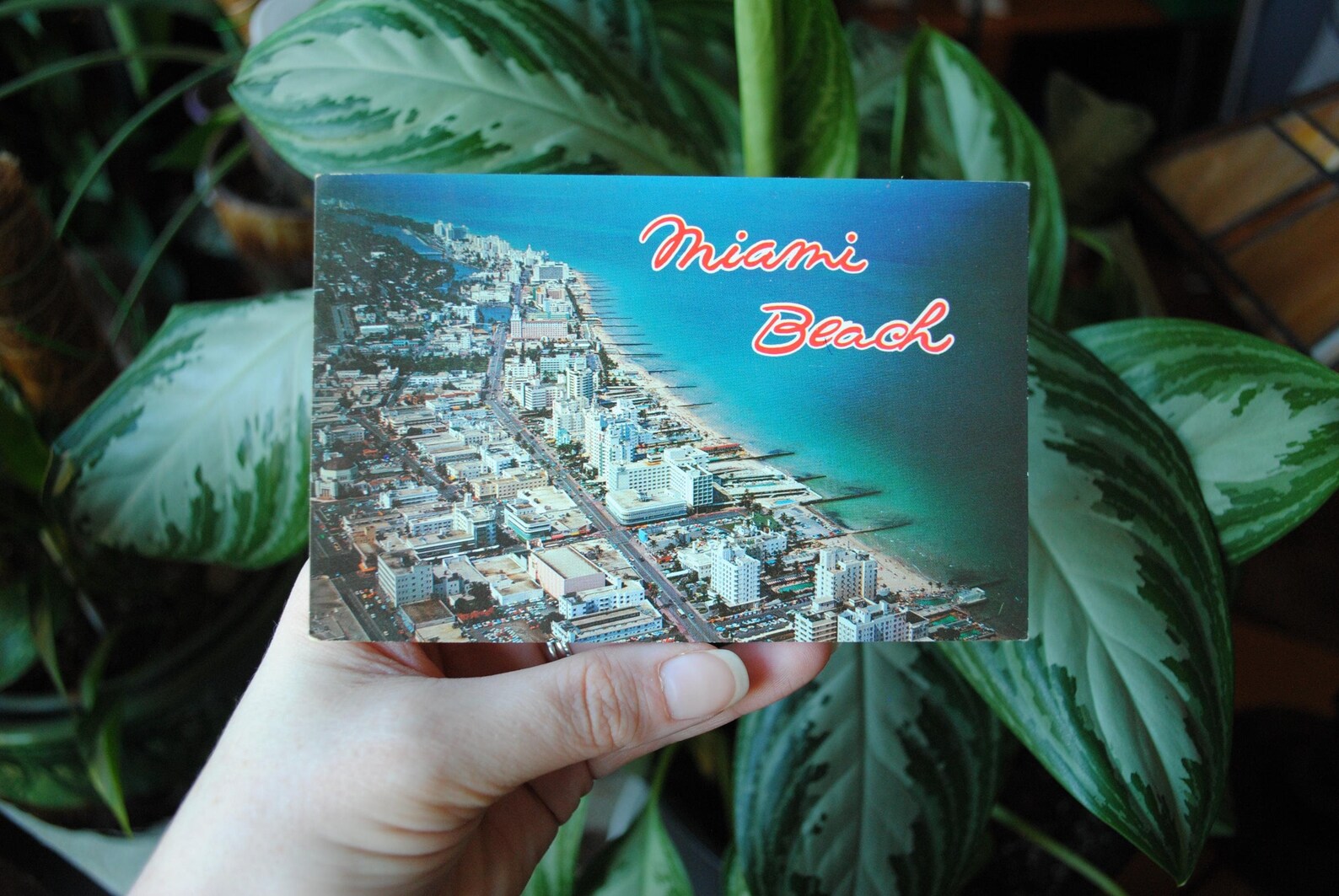 Vintage Miami Beach Postcard - Florida Souvenir - Koppel Color Cards ...