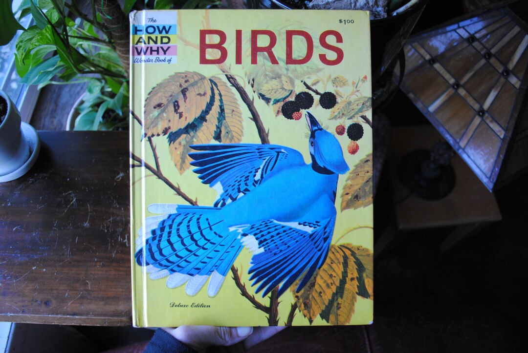 1960 the How and Why Wonder Book of Birds - 4007 - Hardcover Deluxe ...