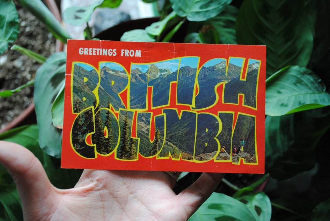 Vintage Greetings From British Columbia Postcard B.C. Canada - Etsy