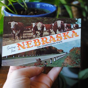 Vintage Greetings From Nebraska Postcard - the Cornhusker State - Split ...