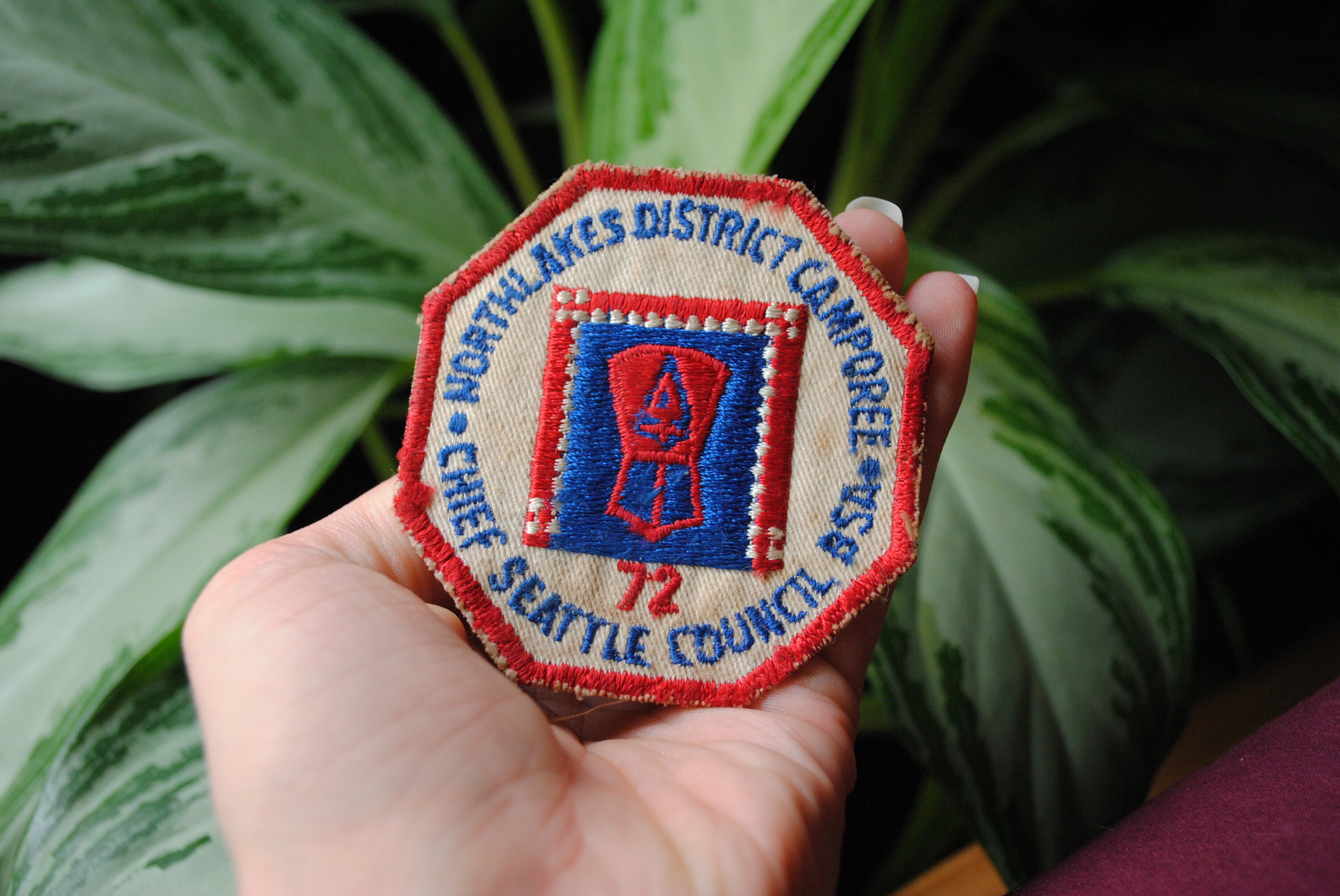 Vintage Chief Seattle Council BSA Patch Northlakes District | Etsy