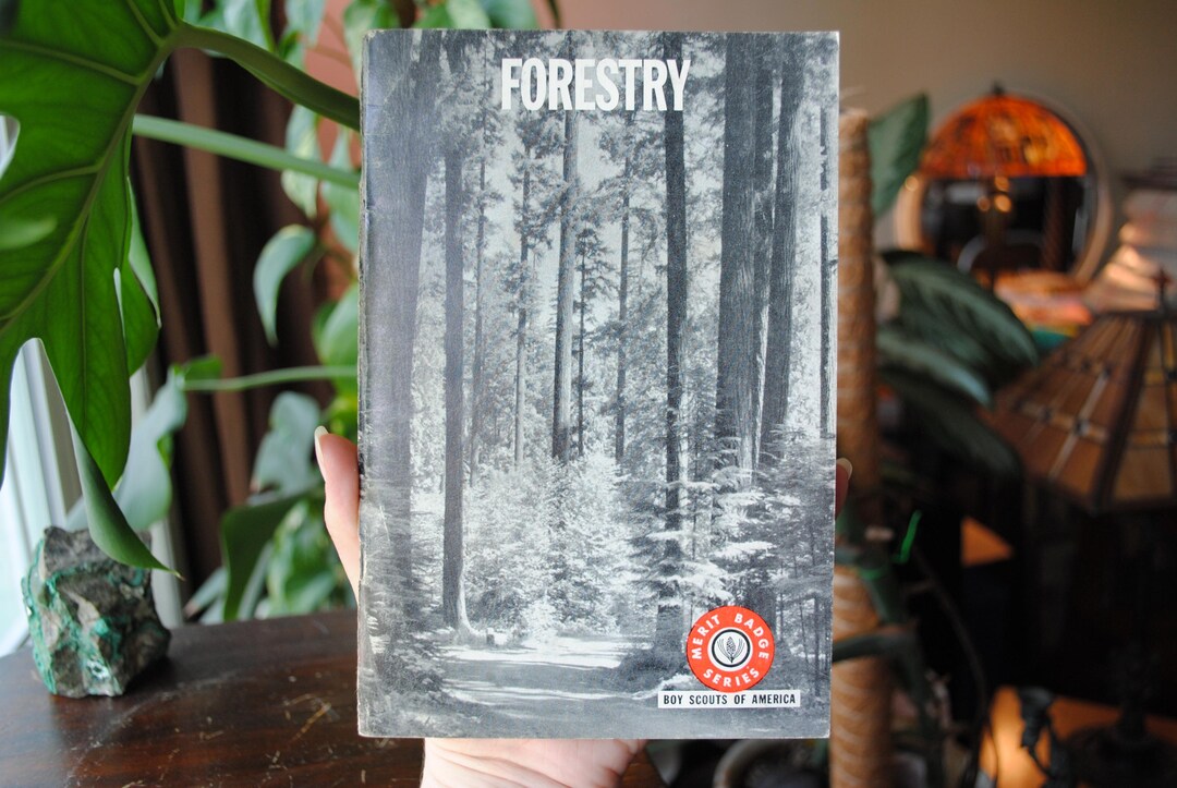 Vintage 1968 Boy Scouts of America Merit Badge Series Book - Forestry ...