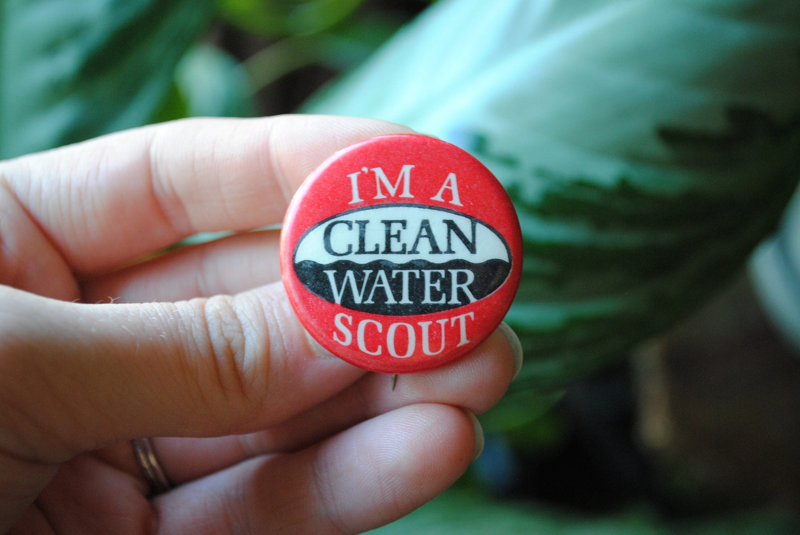 Vintage I'm A Clean Water Scout Pin Back Button Boy | Etsy