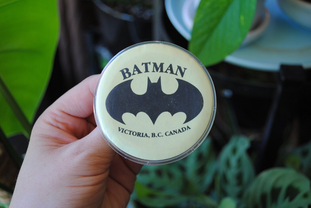 1960's Batman Button DC Comics Victoria BC Canada Pin Back Pop Button ...