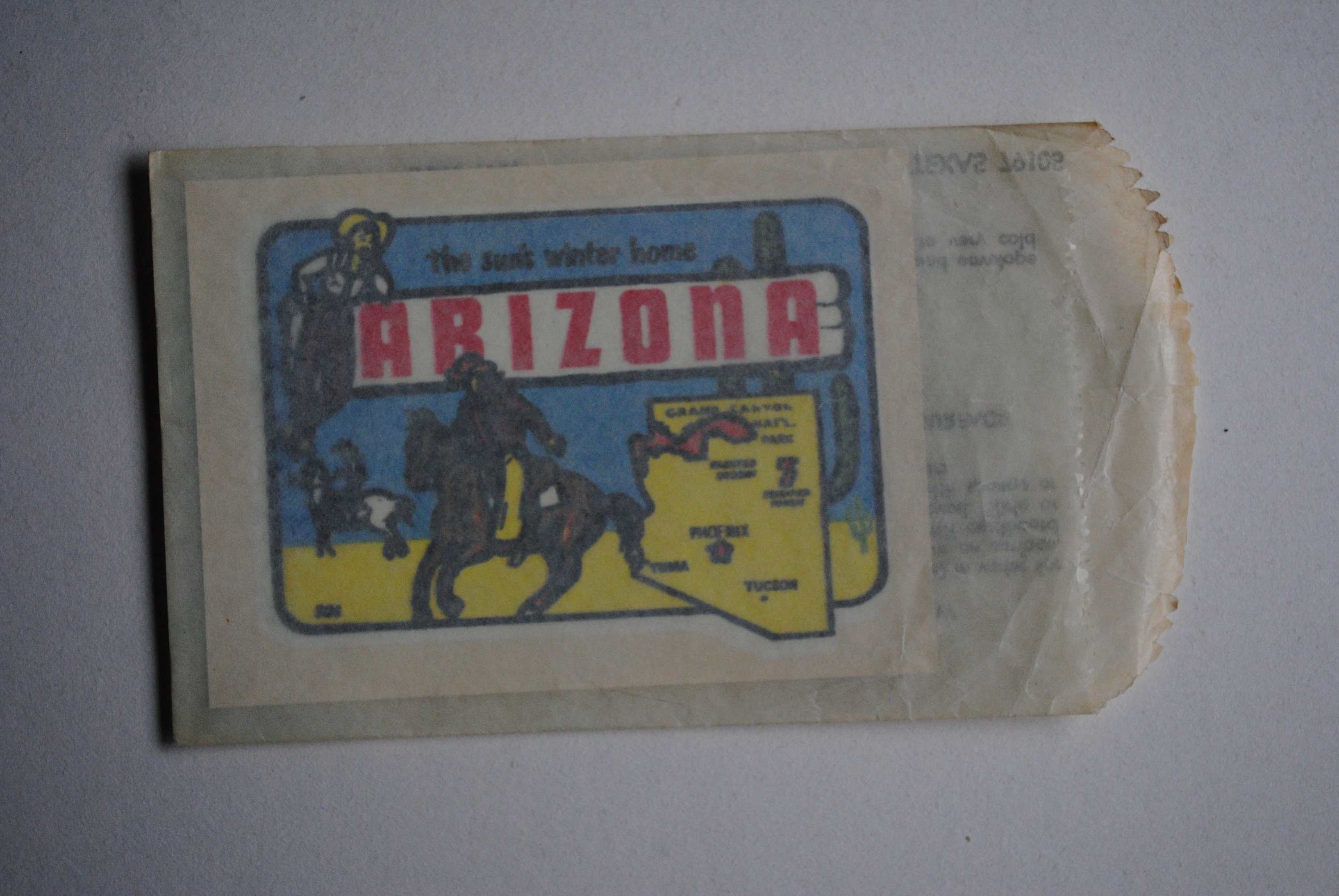 Original Arizona State Travel Decal AZ Retro Window | Etsy