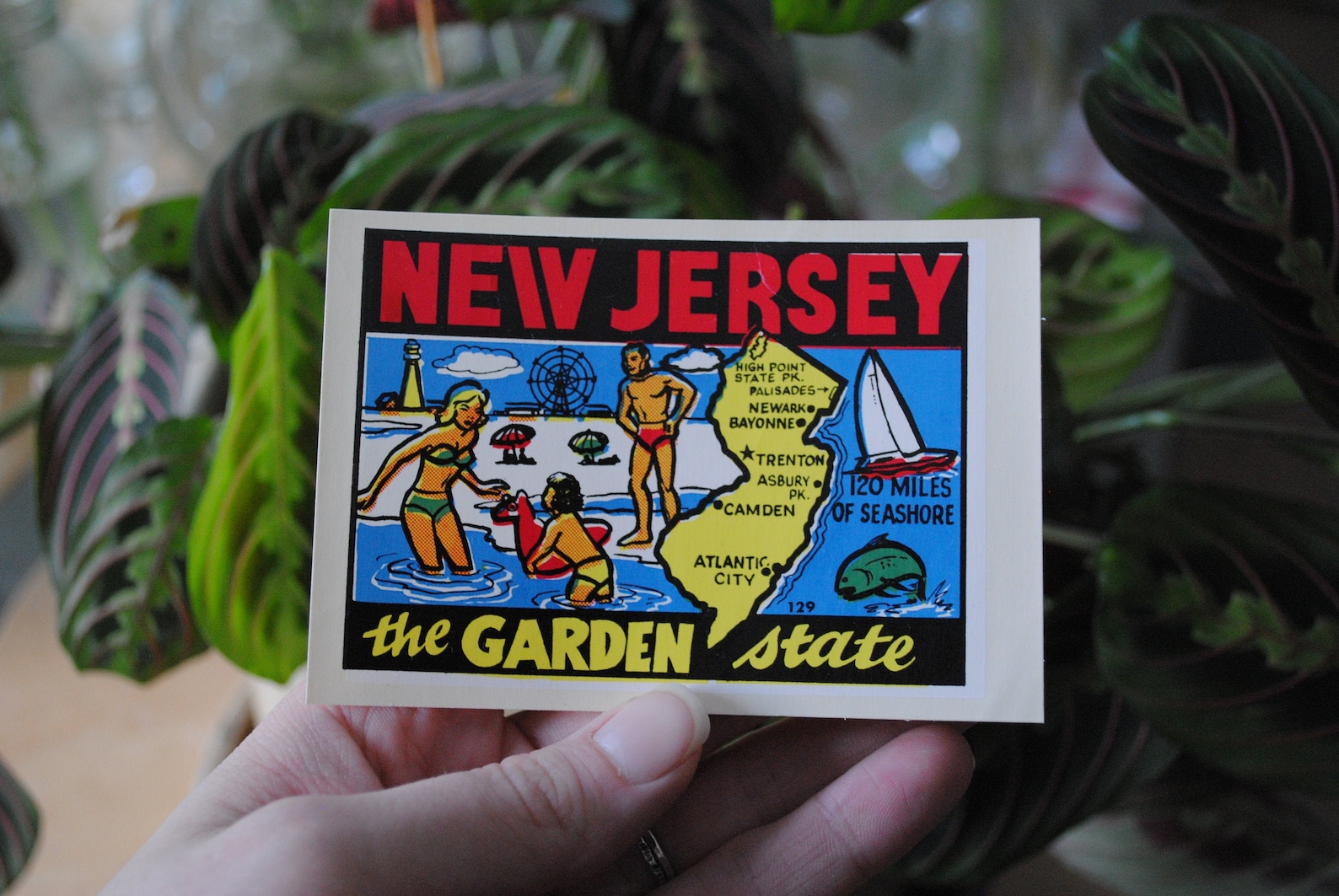 Original New Jersey State Travel Decal NJ Retro Window - Etsy