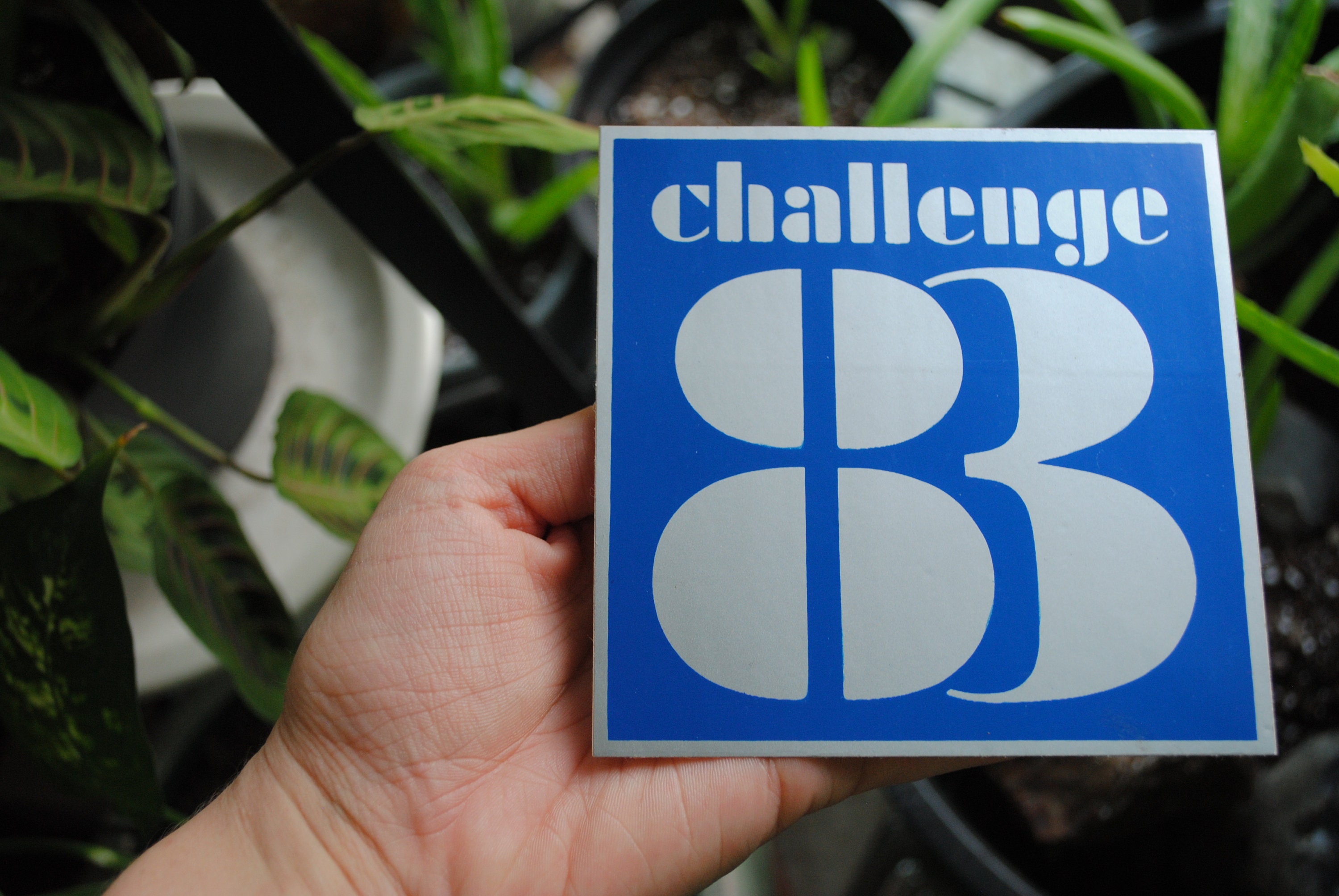 Vintage Challenge 83 Sticker - Decal - on Scotchcal Brand Film - Etsy
