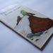 1974 the Gnome From Nome Softcover Book - First Printing - Stephen ...