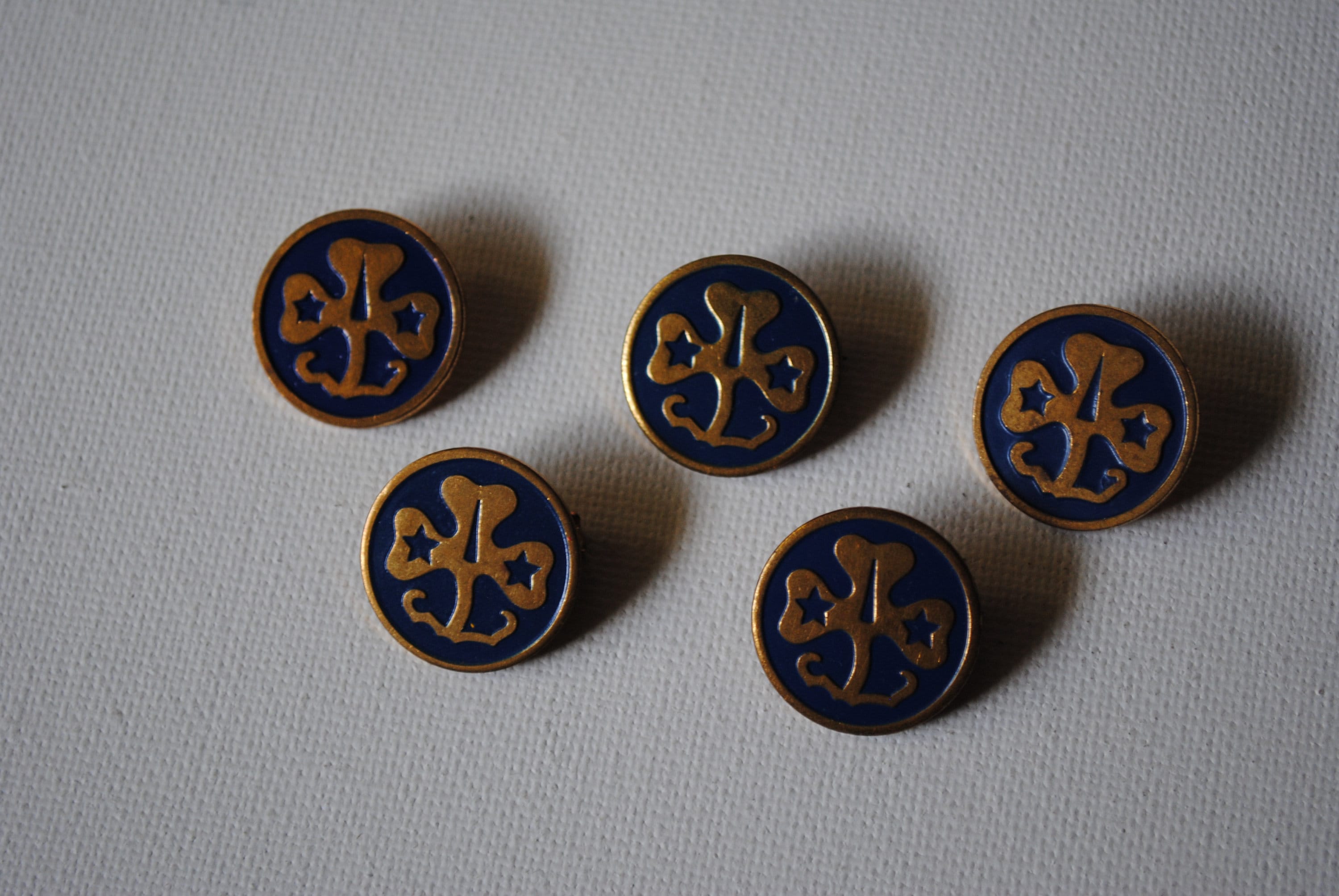 Vintage Girl Scouts WAGGGS World Pin Trefoil Pinback World - Etsy