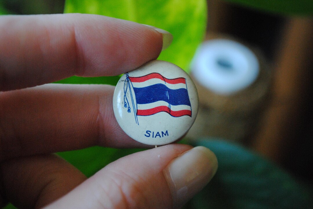Vintage Siam Flag Pin Back Button - Flags of the World Pinback - Lapel ...