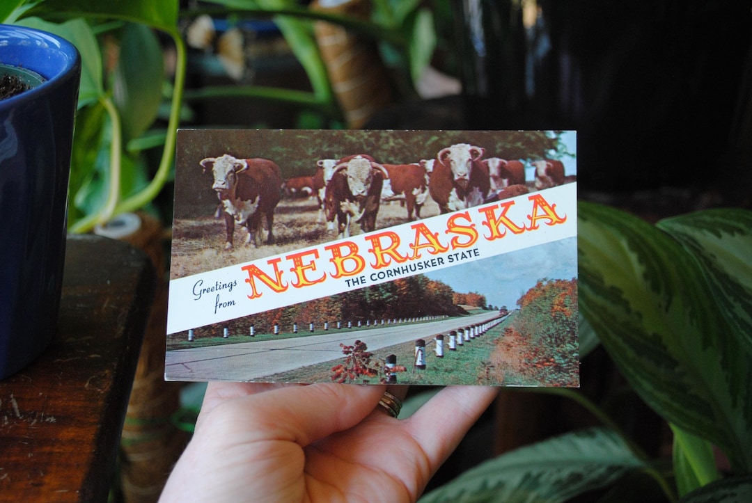 Vintage Greetings From Nebraska Postcard - the Cornhusker State - Split ...