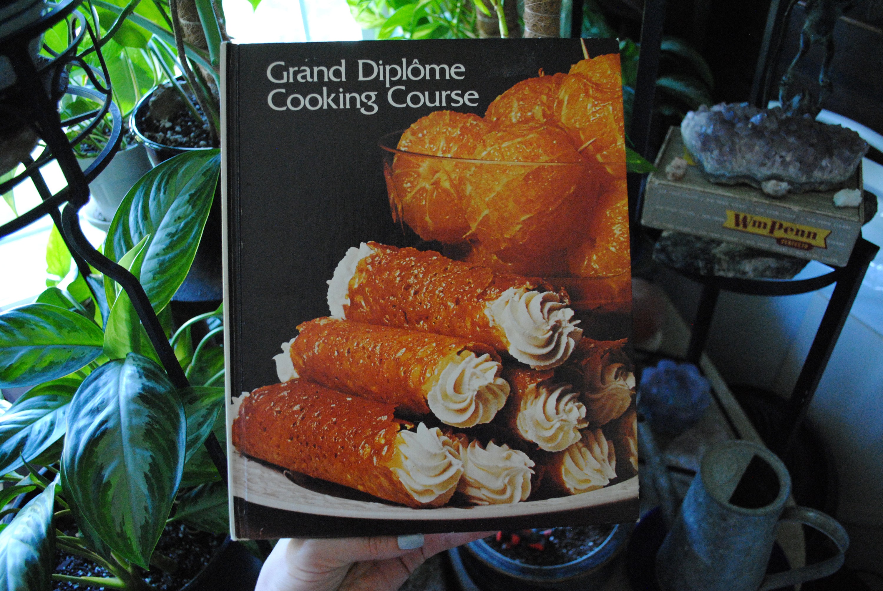 1979 Grand Diplôme Cooking Course Book - Volume 1 - Grolier Enterprises ...