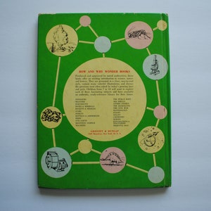 1960 the How and Why Wonder Book of Dinosaurs Hardcover Deluxe Edition ...