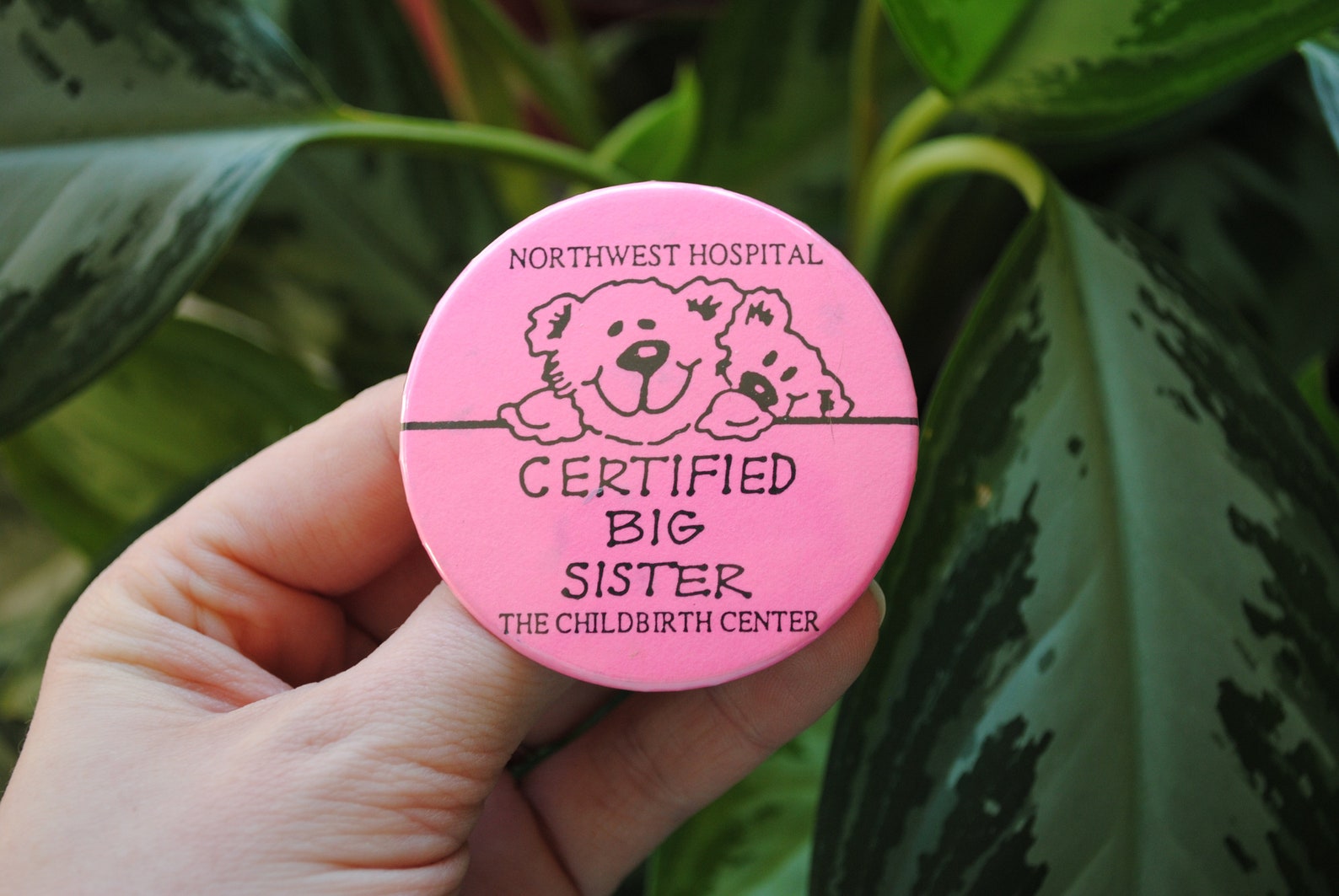 Vintage Certified Big Sister Button - Northwest Hospital - Childbirth ...
