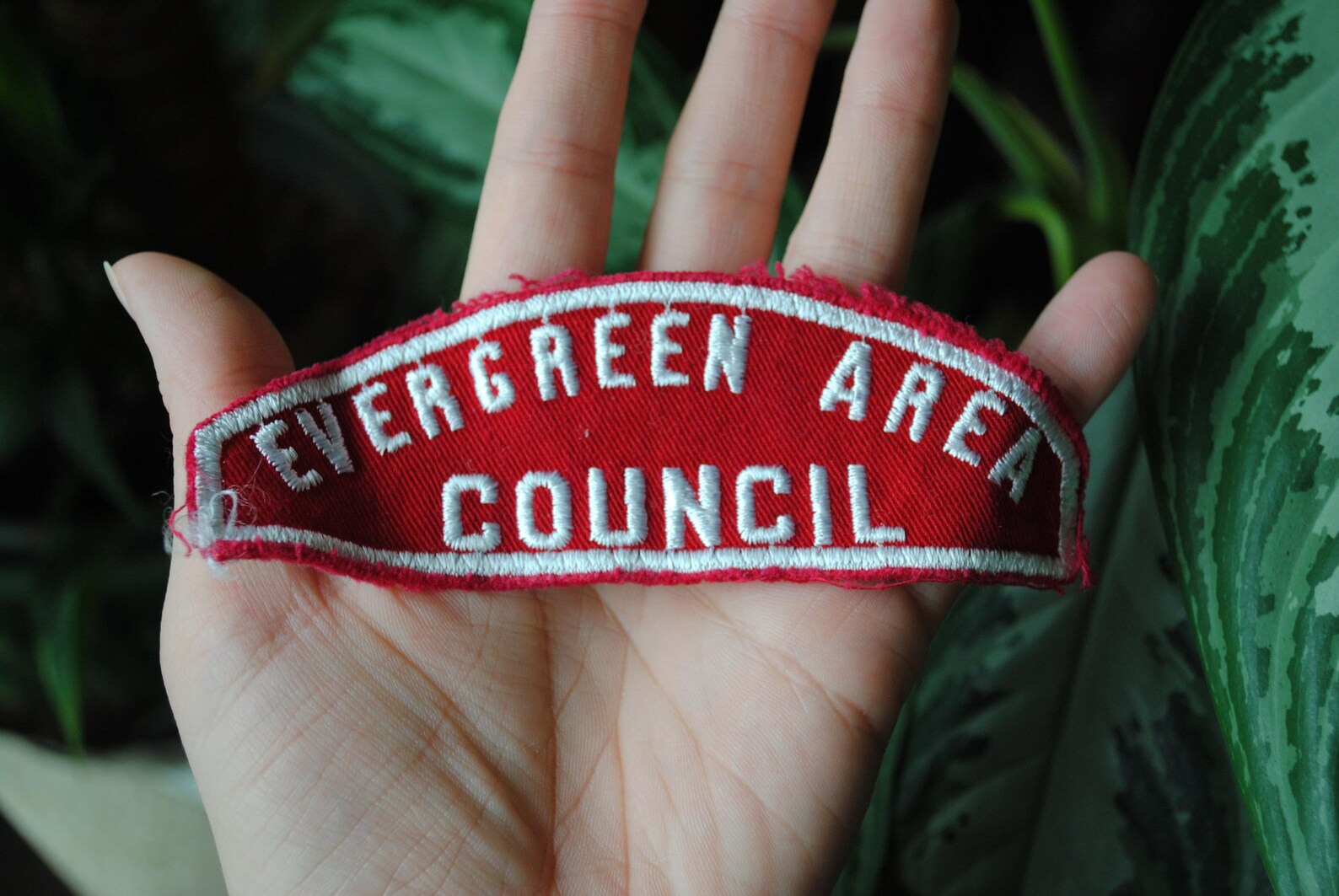 Vintage Evergreen Area Council Washington BSA Shoulder Patch - Full ...