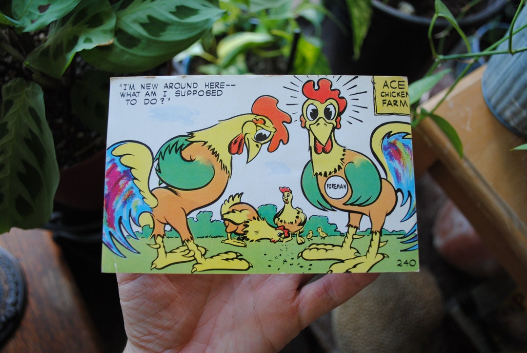 Vintage I'm New Around Here What Am I Supposed to Do? Postcard ...
