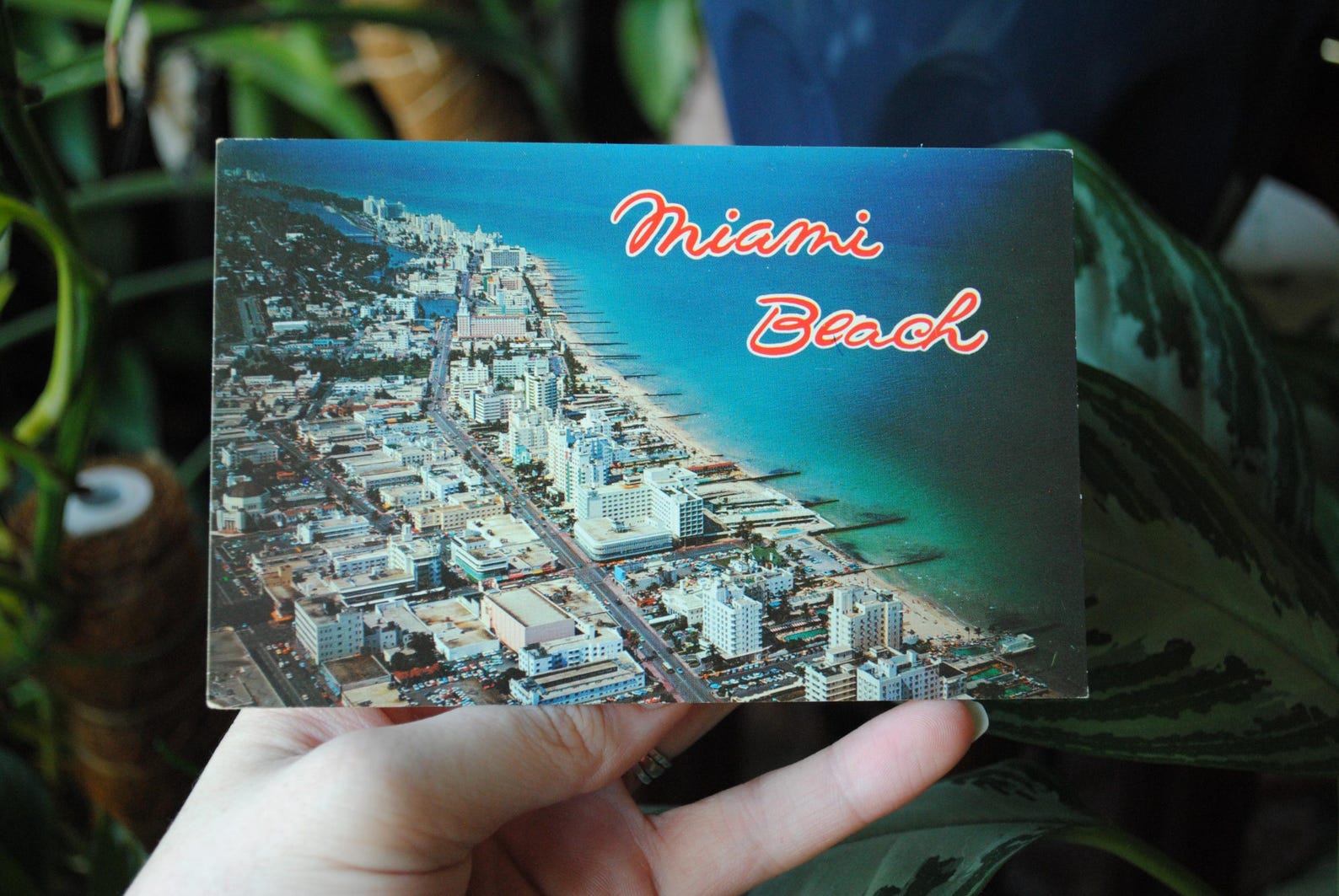 Vintage Miami Beach Postcard - Florida Souvenir - Koppel Color Cards ...