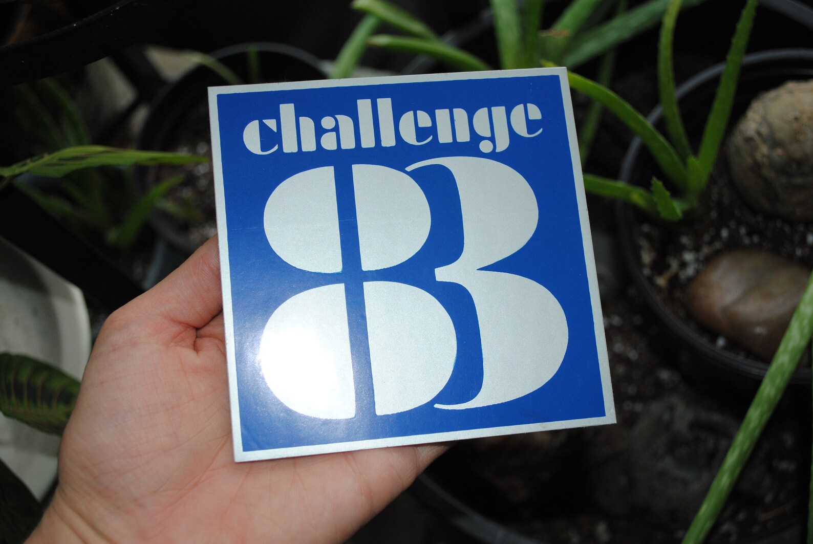 Vintage Challenge 83 Sticker - Decal - on Scotchcal Brand Film - Etsy
