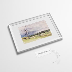 The Ghost Tree at Old Macdonald Watercolor Art Print, Bandon Dunes Golf ...