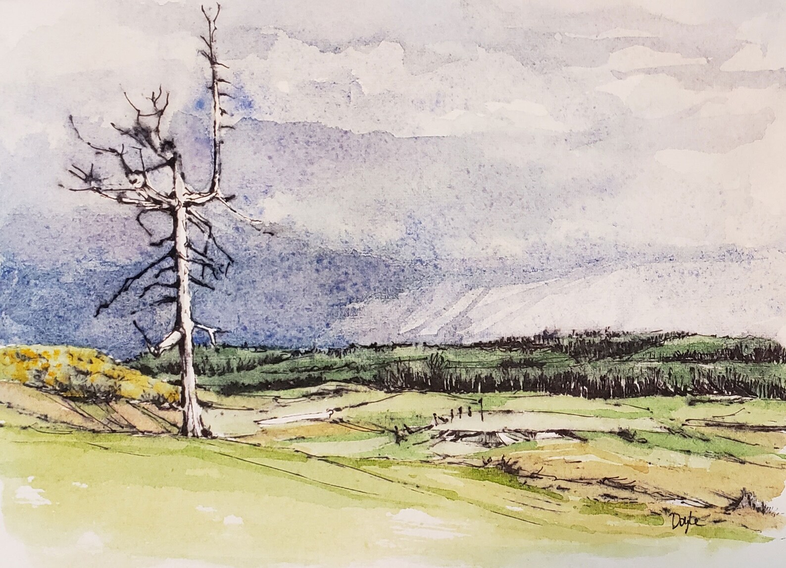 The Ghost Tree at Old Macdonald Watercolor Art Print, Bandon Dunes Golf ...