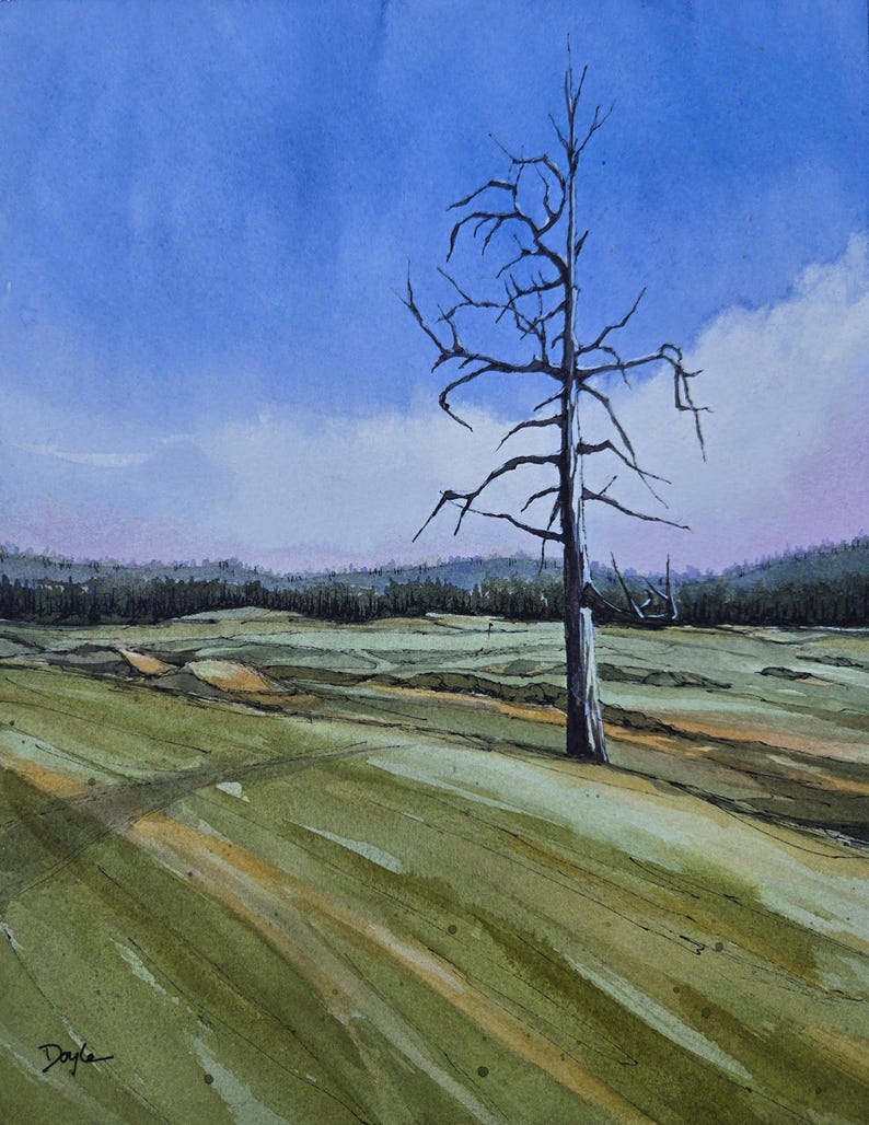 Framed Bandon Dunes Ghost Tree Giclee Watercolor Painting, Old ...