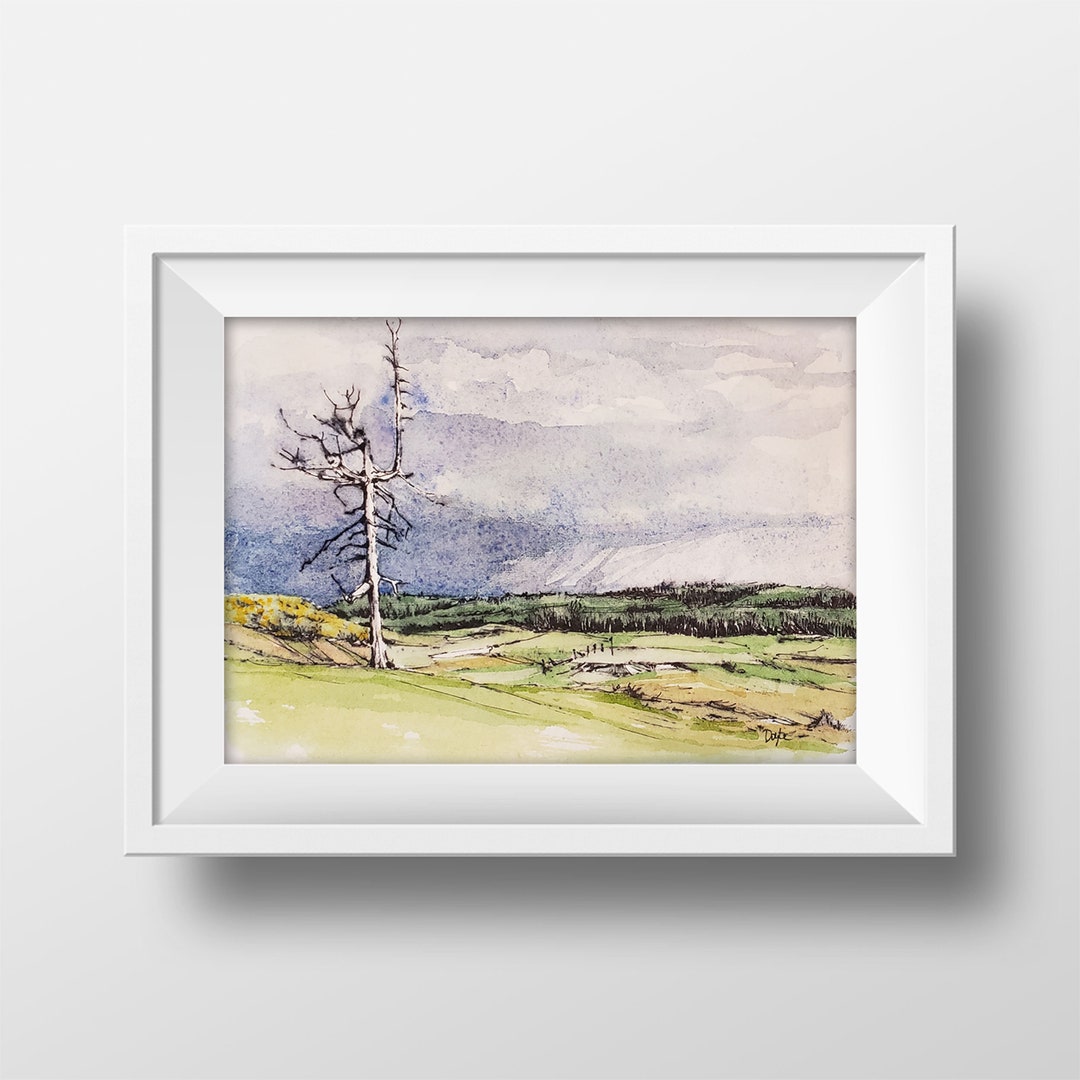 The Ghost Tree at Old Macdonald Watercolor Art Print, Bandon Dunes Golf ...