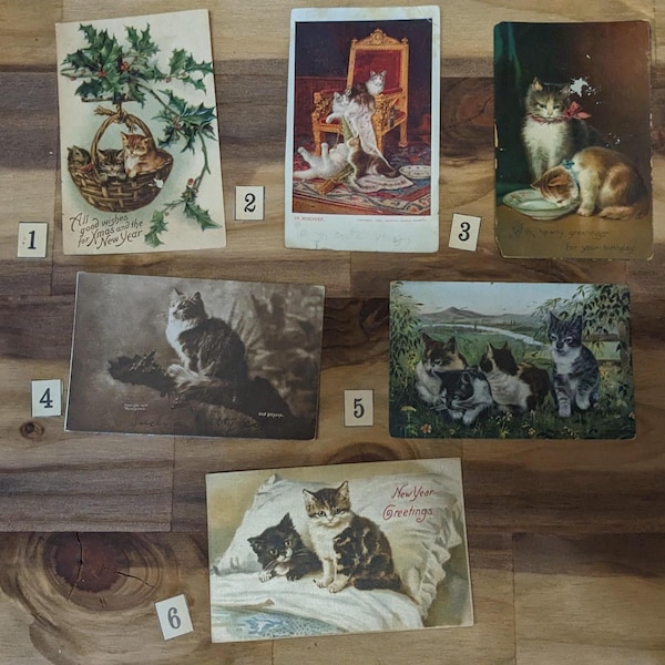Antique Cat Postcard - Etsy