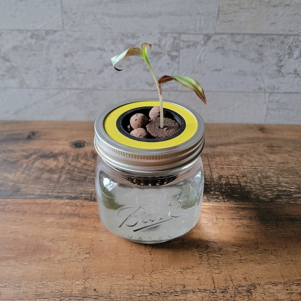 3d Printed Jar Insert - Etsy