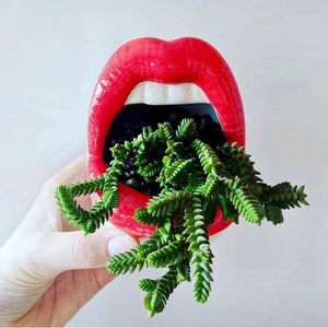 Cute Ceramic Lips Planter Creative Lips Ash Tray - Etsy