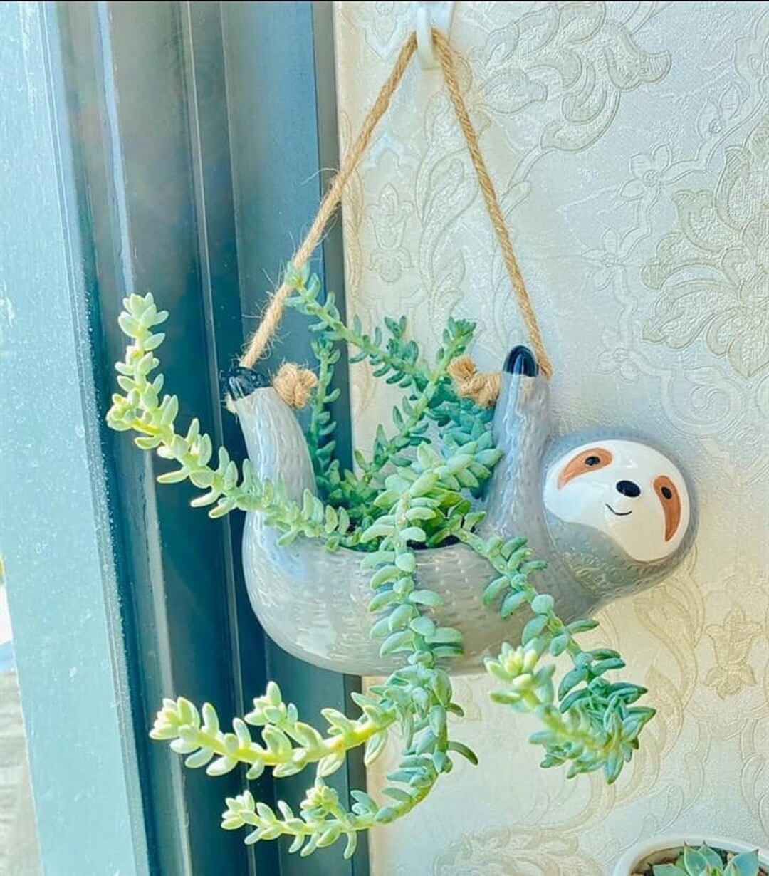 Sloth Hanging Planter Cute Hanging Plant Pots Animal - Etsy