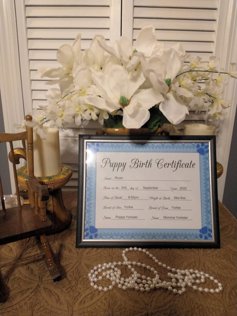 INSTANT Fillable Printable PDF Puppy Birth Certificate (blue-male ...
