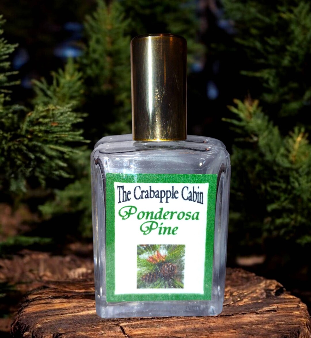 Ponderosa Pine Perfume With Jojoba Oil 1 Oz - Etsy