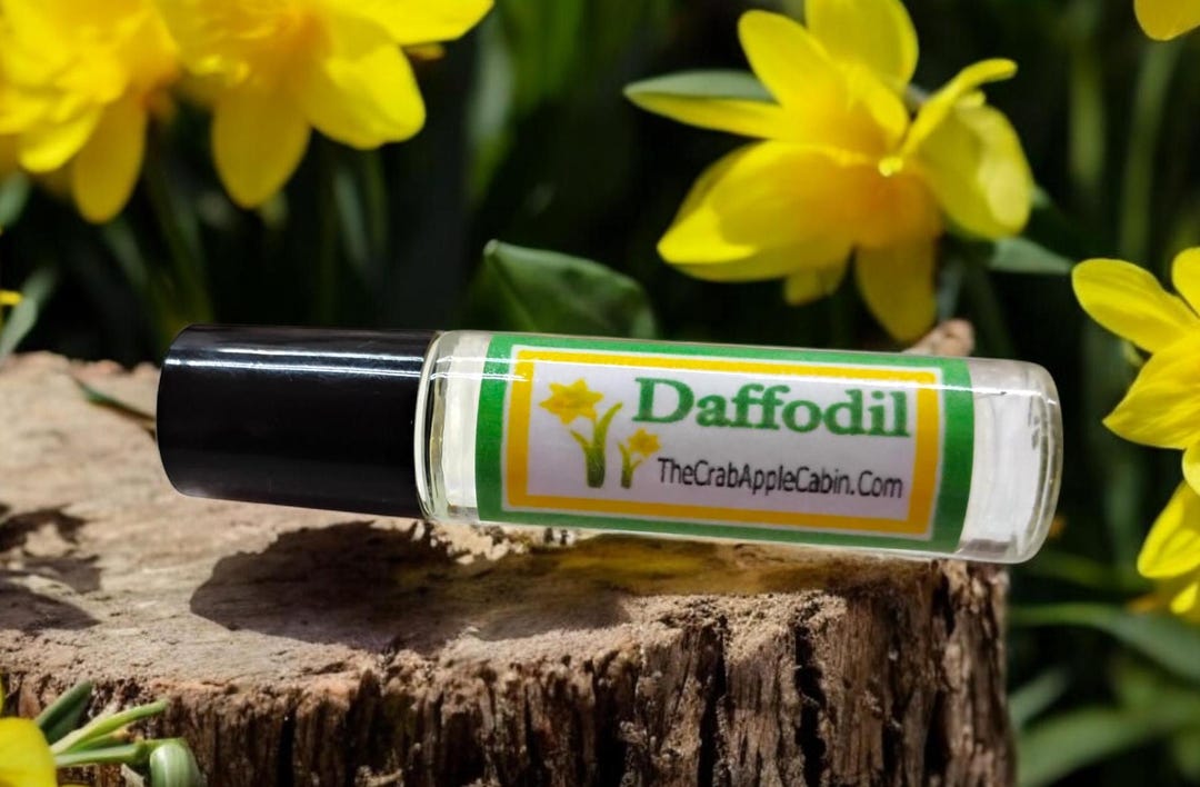 Daffodil Buttercup Perfume Oil Roller With Jojoba Oil 10 ML - Etsy