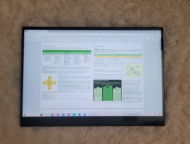 Property Law Outline and Flow Chart - Etsy