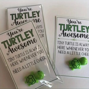 Pocket Turtle Cheer up Gift Motivation You're Turtley Awesome Turtle ...