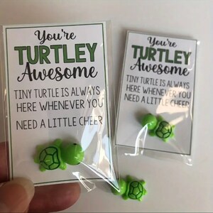 Pocket Turtle Cheer up Gift Motivation You're Turtley Awesome Turtle ...