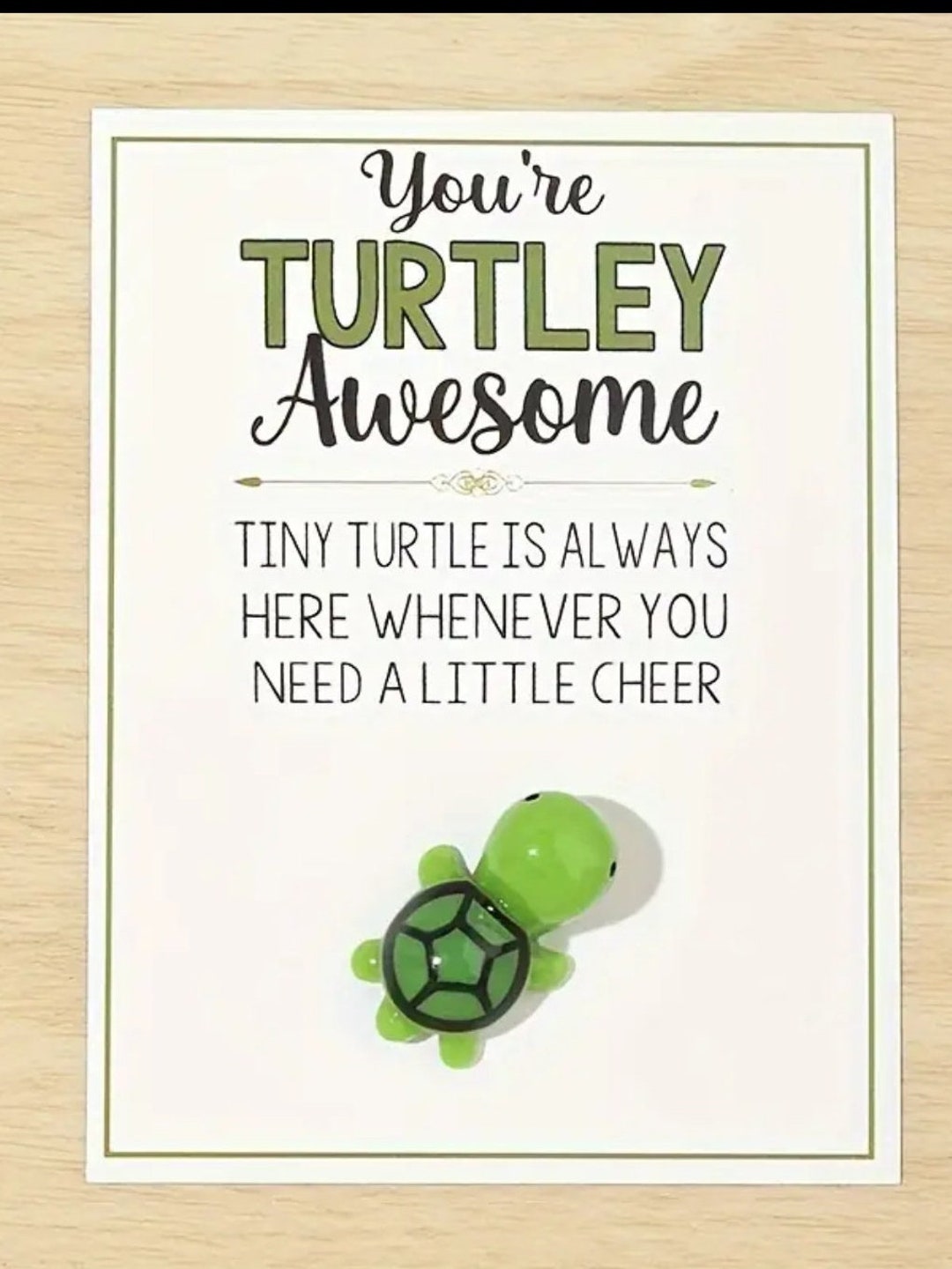 Pocket Turtle Cheer up Gift Motivation You're Turtley Awesome Turtle ...