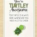 Pocket Turtle Cheer up Gift Motivation You're Turtley Awesome Turtle ...