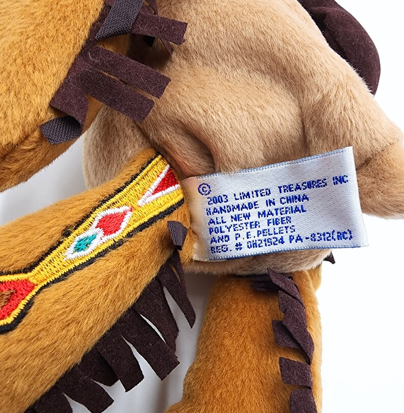 Limited Treasures Sacagawea and Baby Pomp Dollar Coin Bear 2003 Beanie ...