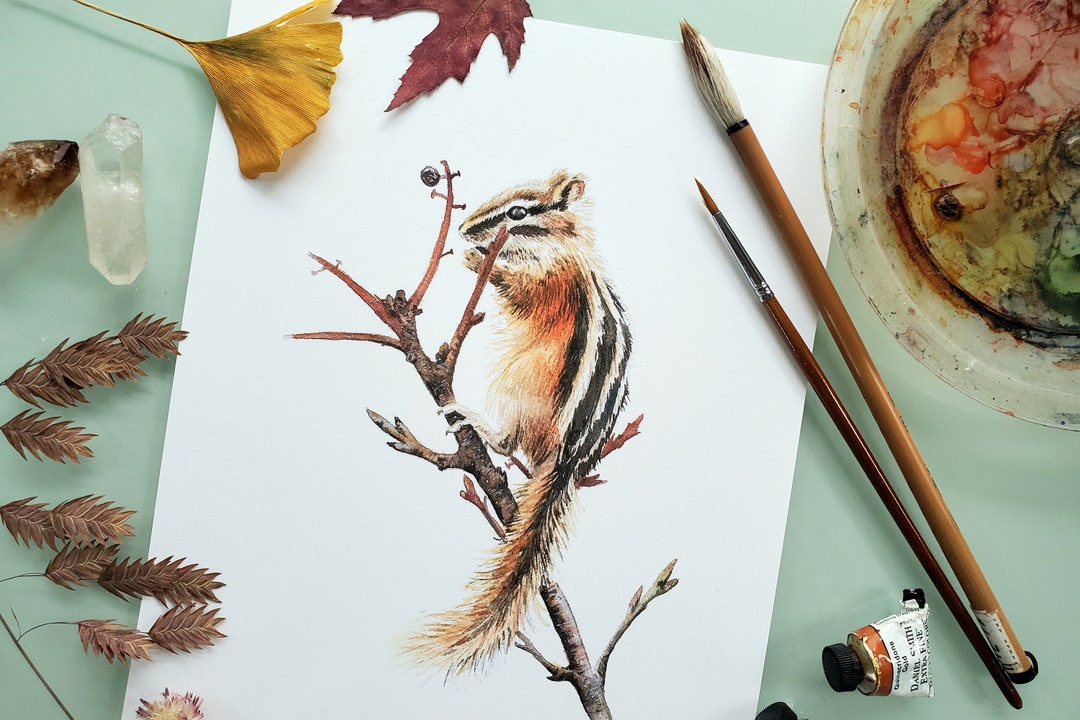 Chipmunk Snacking on a Branch, 8x10 Print, 8x10 Watercolor Print ...