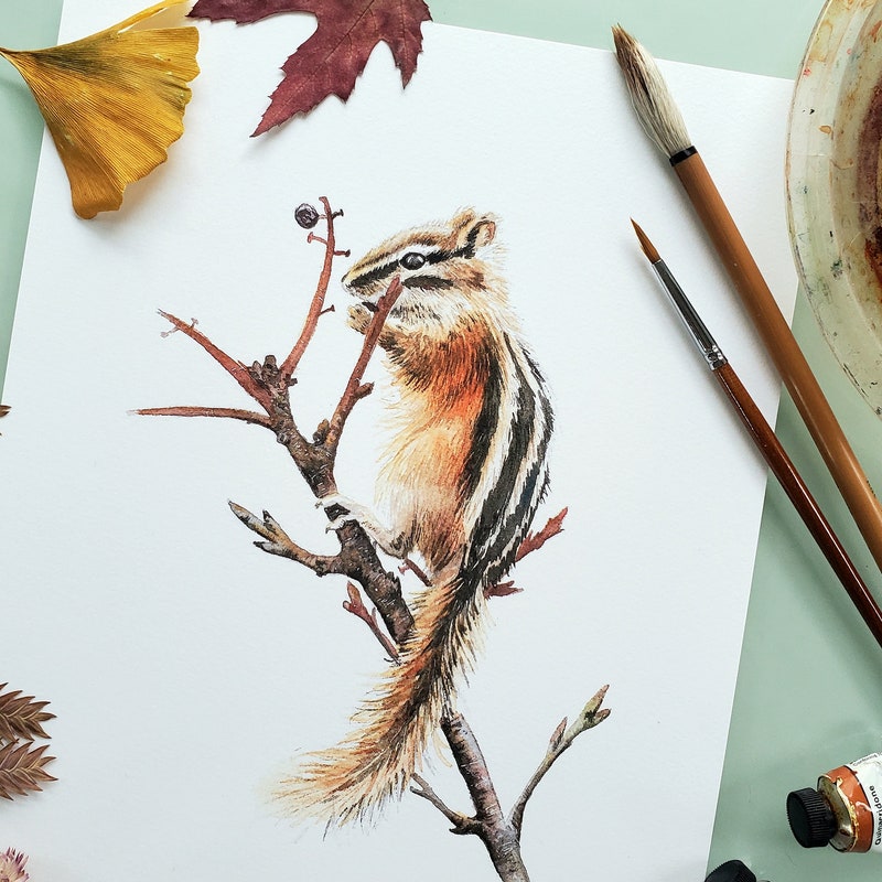 Chipmunk Art - Etsy