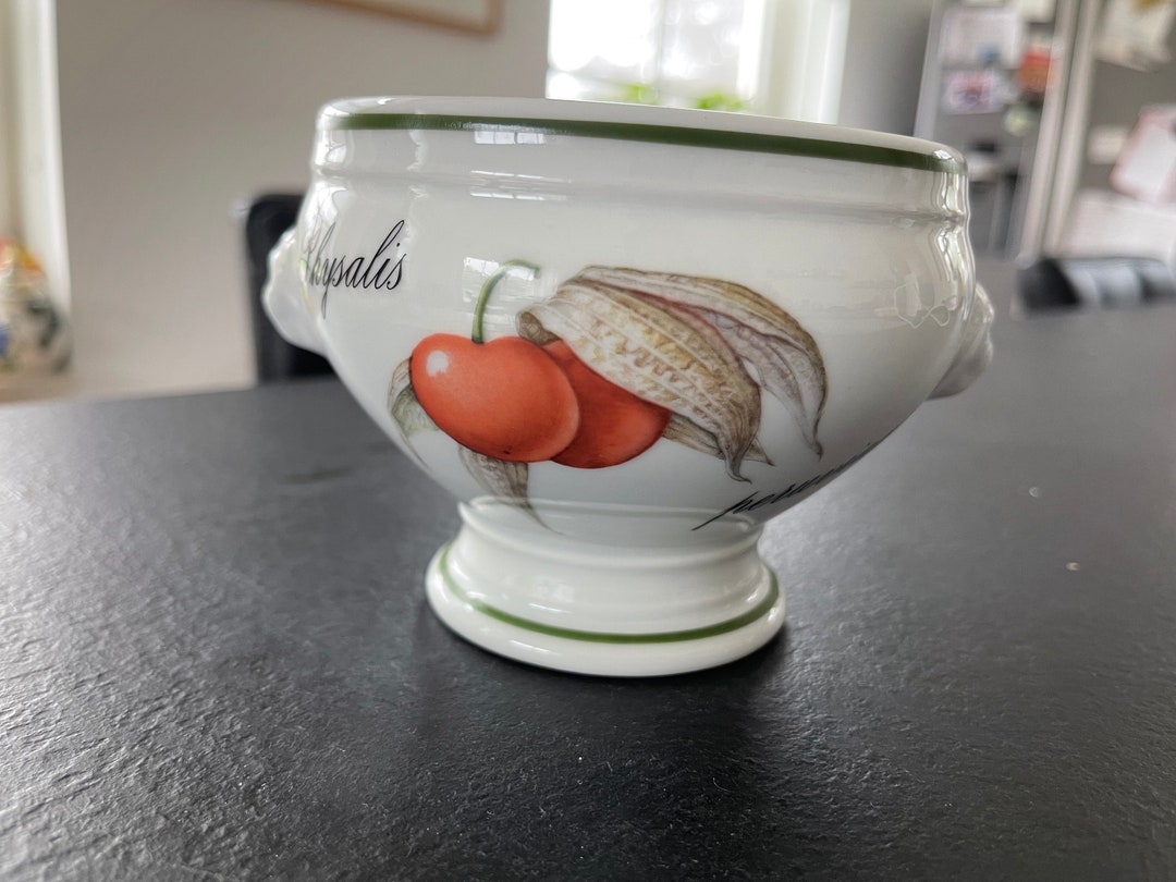 Vintage Apilco France- Elysian Gardens Breakfast Bowl/soup Bowl on Foot ...