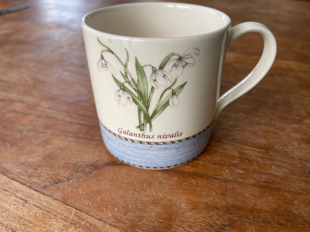 A Gorgeous Vintage Wedgwood Sarah's Garden Snowdrop Mug With Handle ...